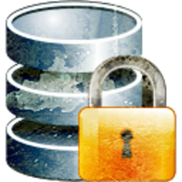 Database Key Icon - 9789 - Dryicons
