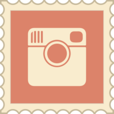 Instagram button icons - 584 Free Instagram button icons | Download PNG ...