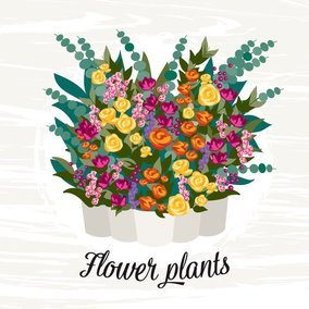 Fragrance icons - 2 Free Fragrance icons | Download PNG & SVG