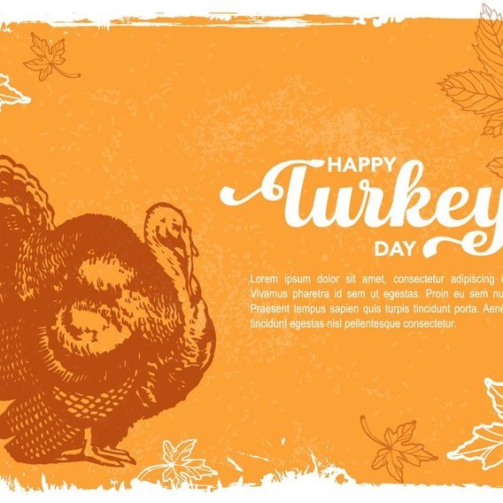 Happy Turkey Day Greeting Card - 10398 - Dryicons