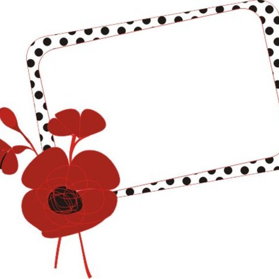Poppy Frame - 8694 - Dryicons