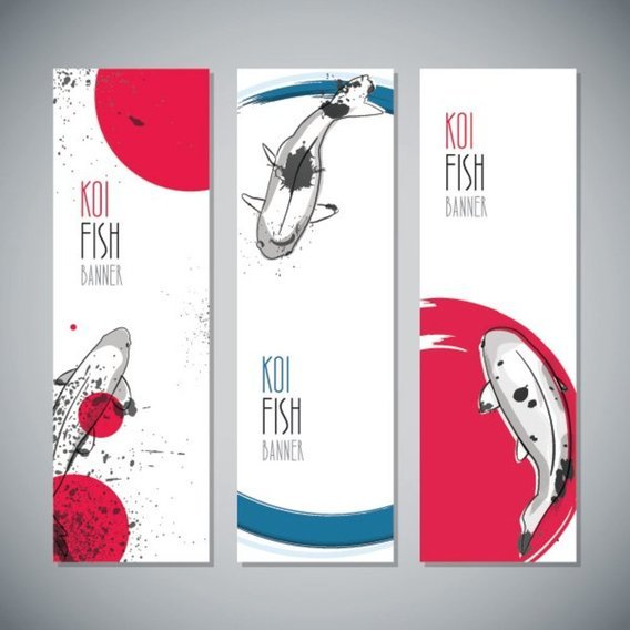 Koi Fish Banners - 9804 - Dryicons